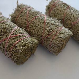 ORGANIC Wholesale BLUE Sage Smudge Sticks,2in Diameter, 4 in or 9 in ...