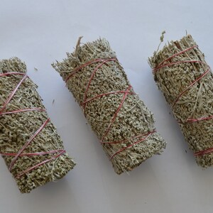 ORGANIC Wholesale BLUE Sage Smudge Sticks,2in Diameter, 4 in or 9 in ...