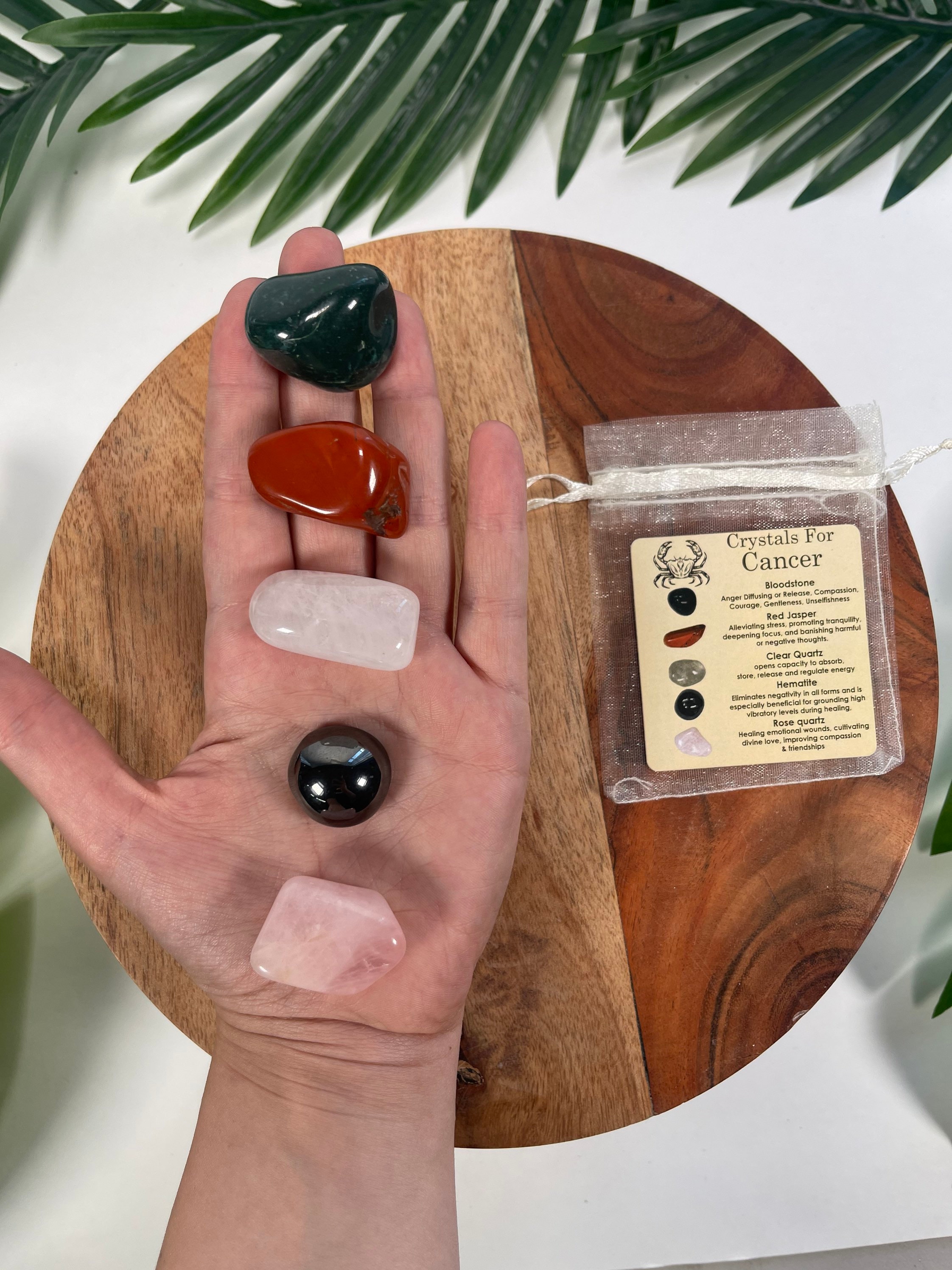 CANCER Crystal Set, 5x Crystals Set for CANCER (bloodstone, Red Jasper ...