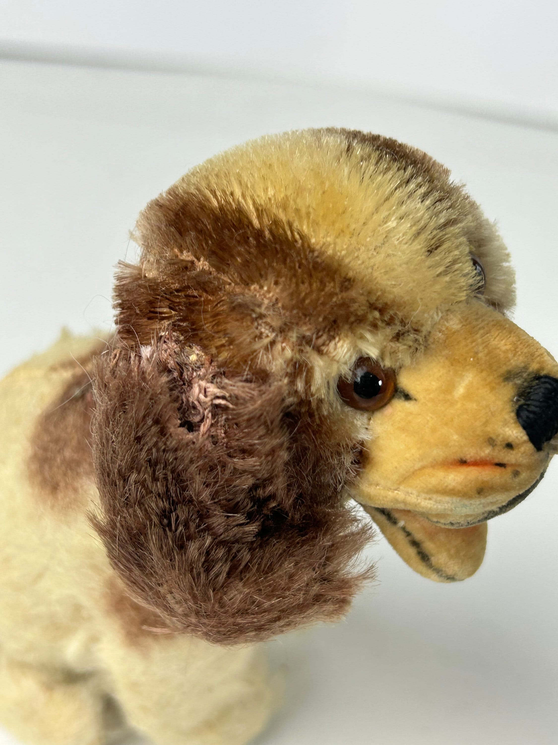 Vintage Steiff 'cockie' Brown and White Cocker Spaniel Dog 1950s - Etsy