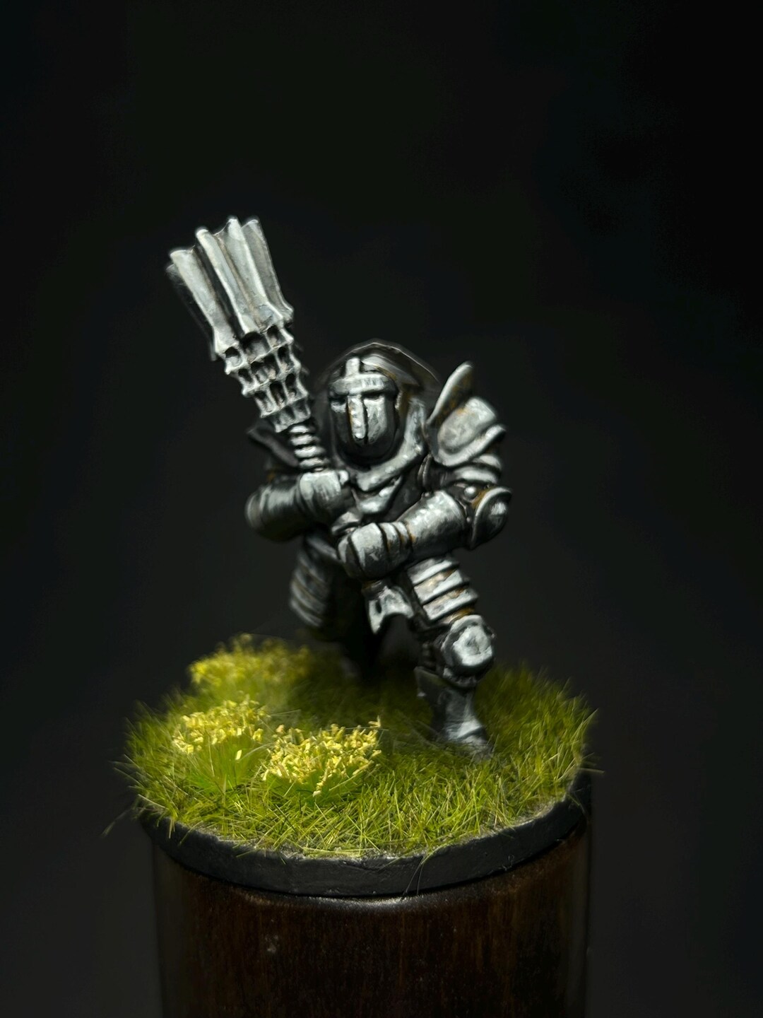 Dark Souls / Turtle Knight / Ironclad Warrior / Miniature / Dungeons ...