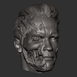 Arnold Terminator Resin Model - Etsy