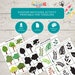 Kids Printable Worksheets-visual Memory Activities - Etsy