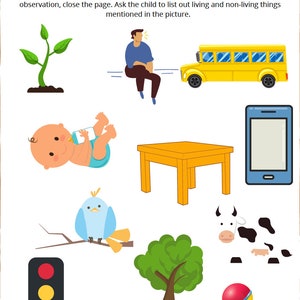 Kids Printable Worksheets-visual Memory Activities - Etsy