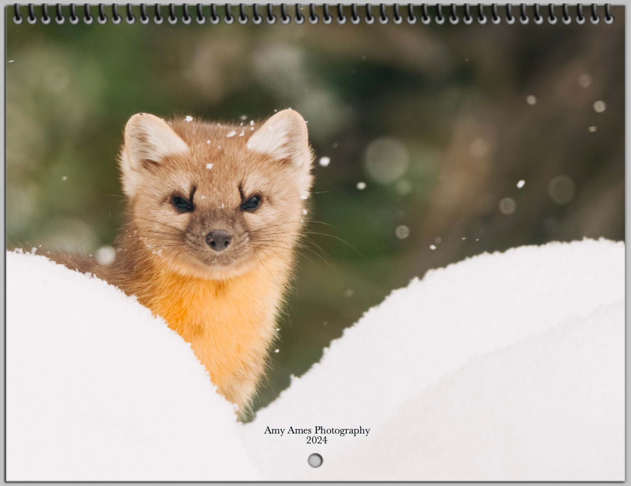 2024 Amy Ames Photography Calendar - Etsy