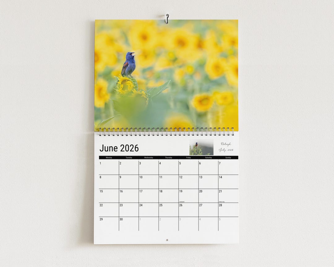 2026 Amy Ames Photography Calendar - Etsy