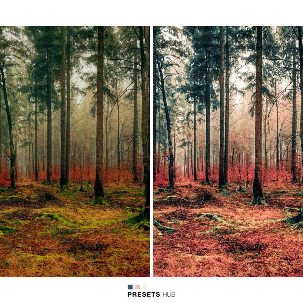 5 Lightroom Desktop Presets Wood Desktop Presets Forest for - Etsy