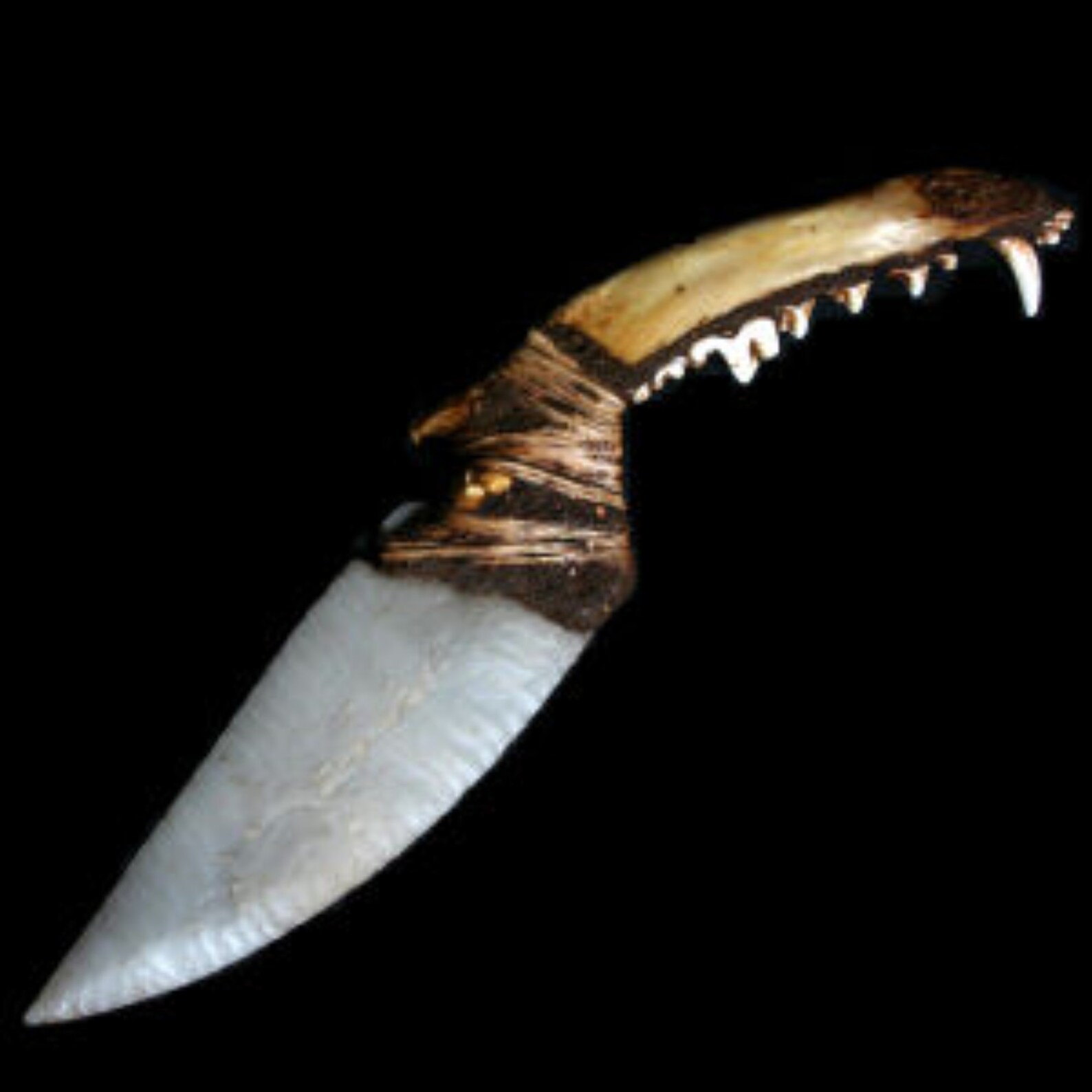 Native American Coyote Jaw Bone Knife | Etsy