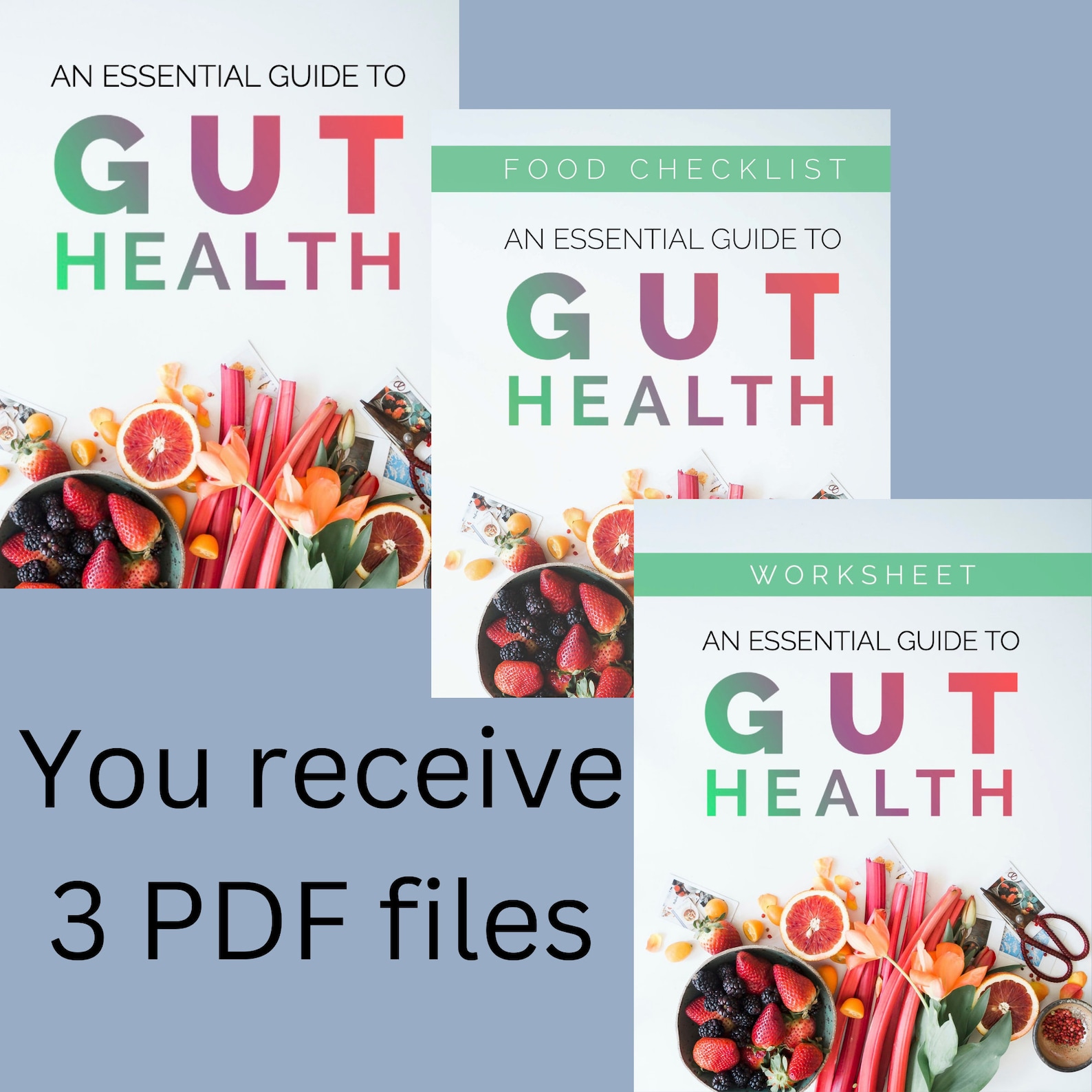 Gut Health Guide Printable: 43 Pages With Checklist and Wellness ...