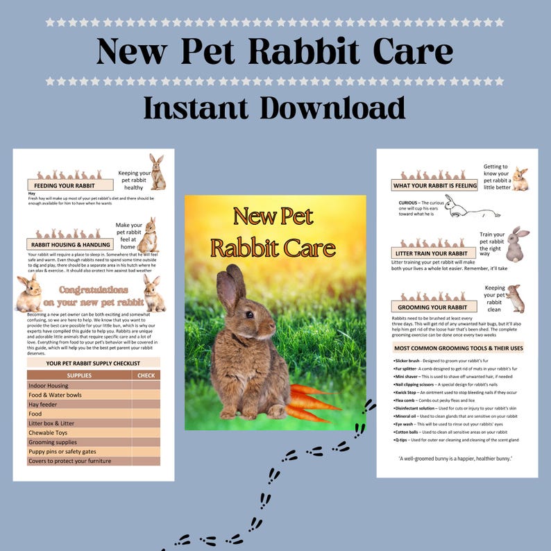 Rabbit Care Guide: Housing, Feeding, Grooming & Training Tips - Instant ...