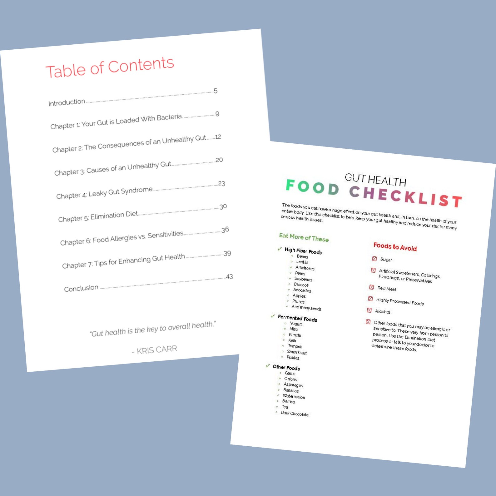 Gut Health Guide Printable: 43 Pages With Checklist and Wellness ...