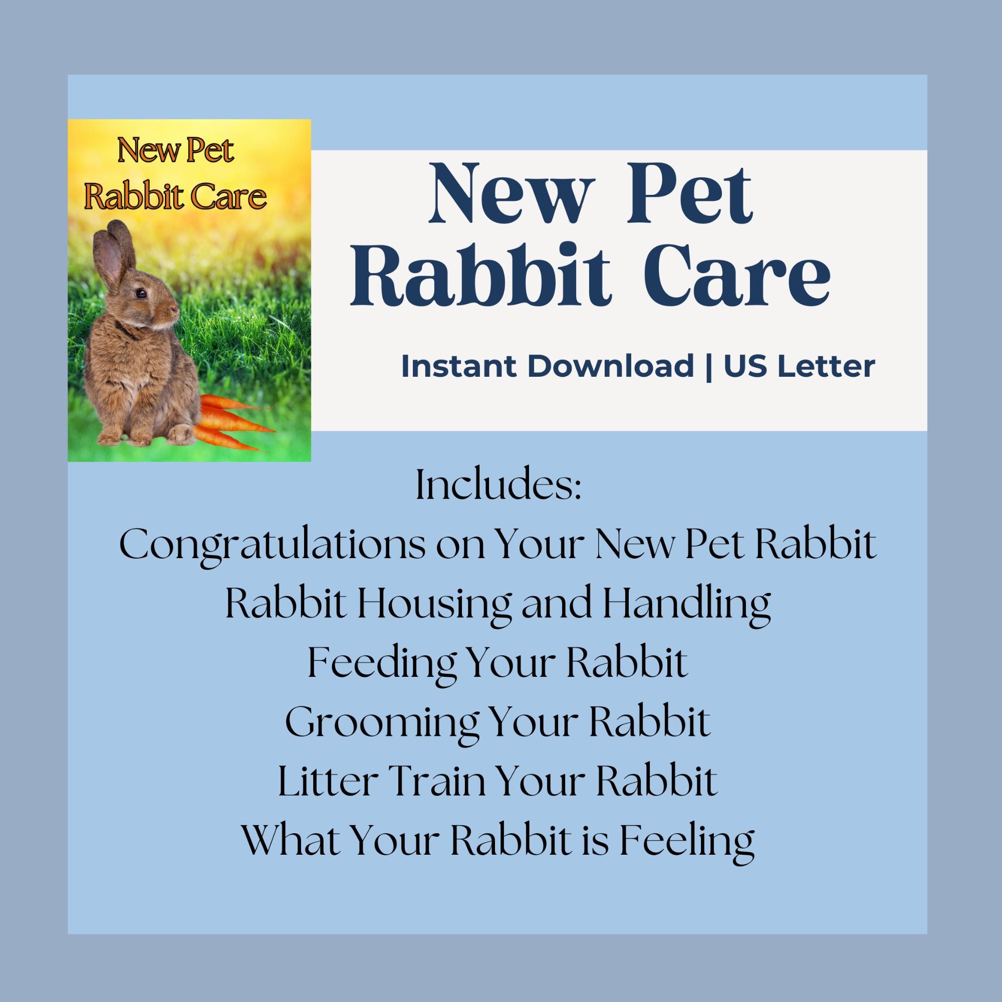 Rabbit Care Guide: Housing, Feeding, Grooming & Training Tips - Instant ...