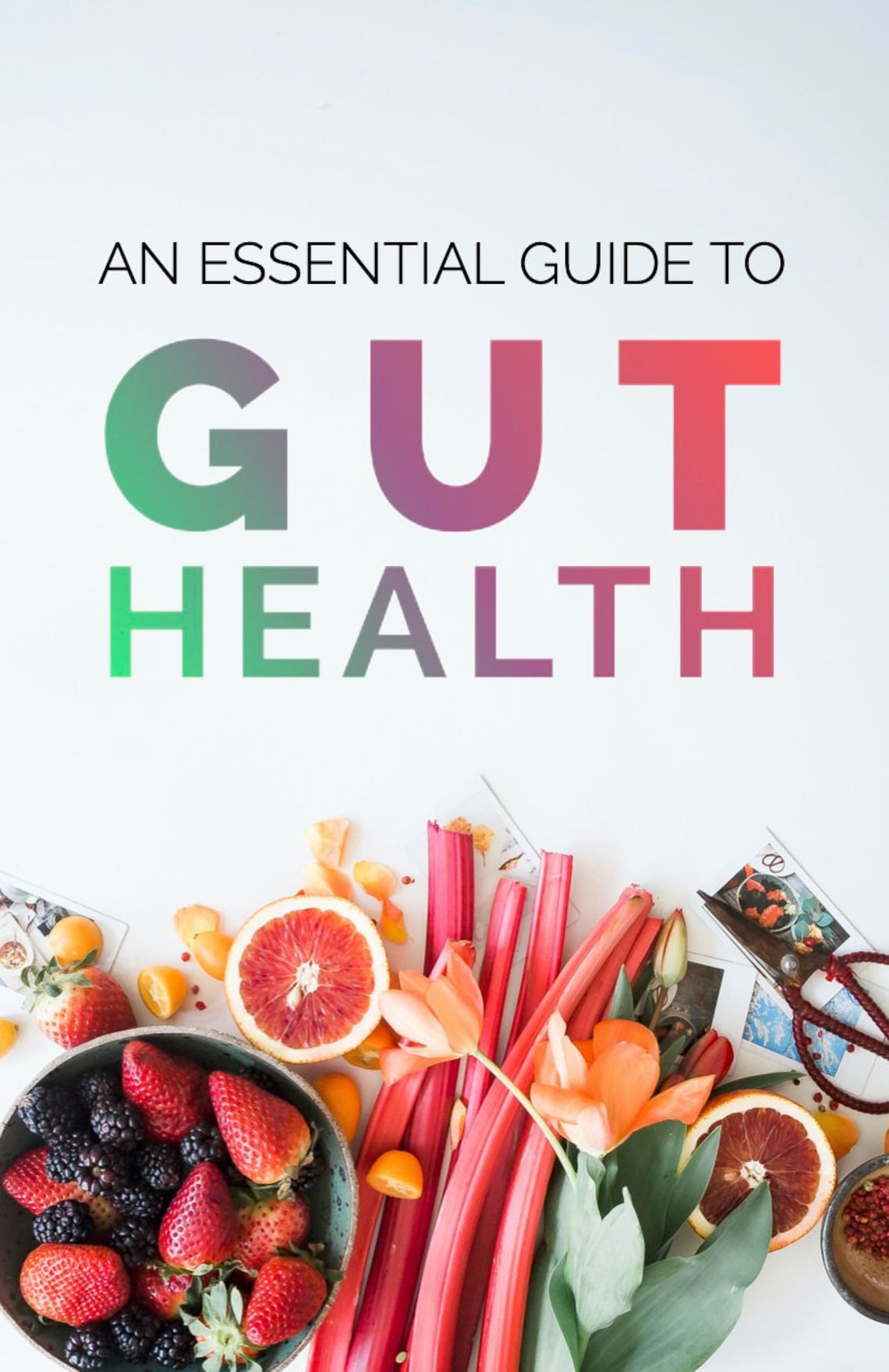 An Essential Guide to Gut Health / 43 Page Printable Book Plus - Etsy