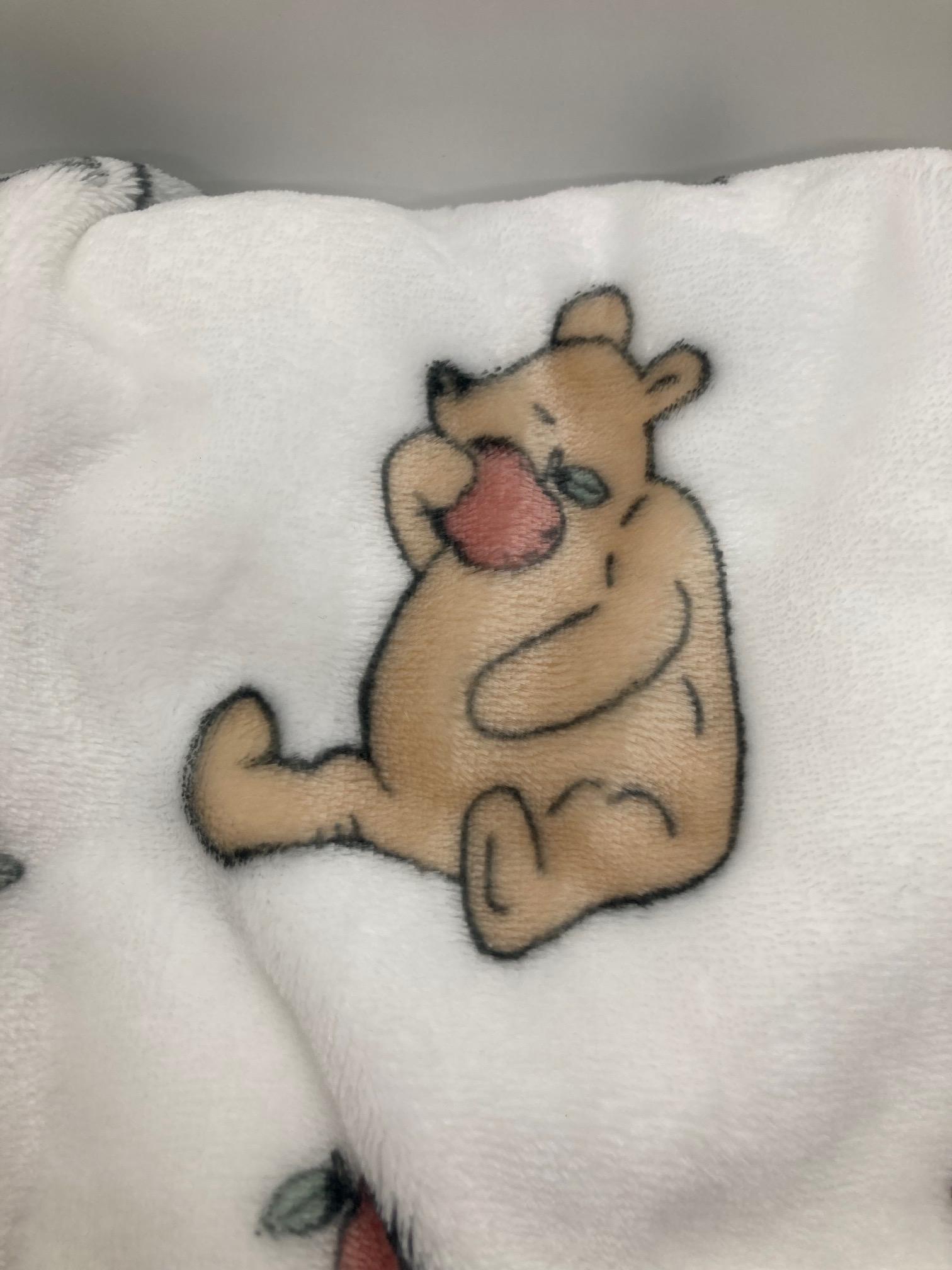 Winnie the Pooh Bear Collection Baby Blanket Piglet Eeyore Fruit Fleece ...