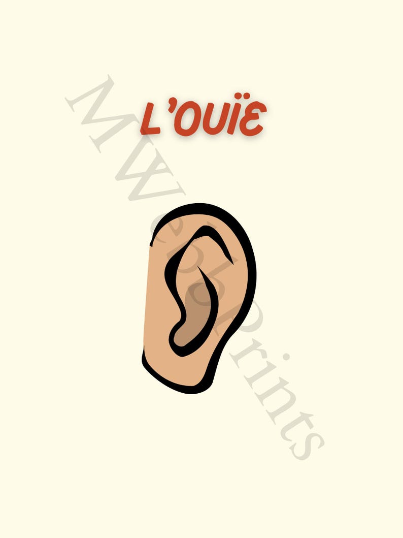 French Five Senses Printable Six Poster Bundle, Français Les Cinq Sens ...