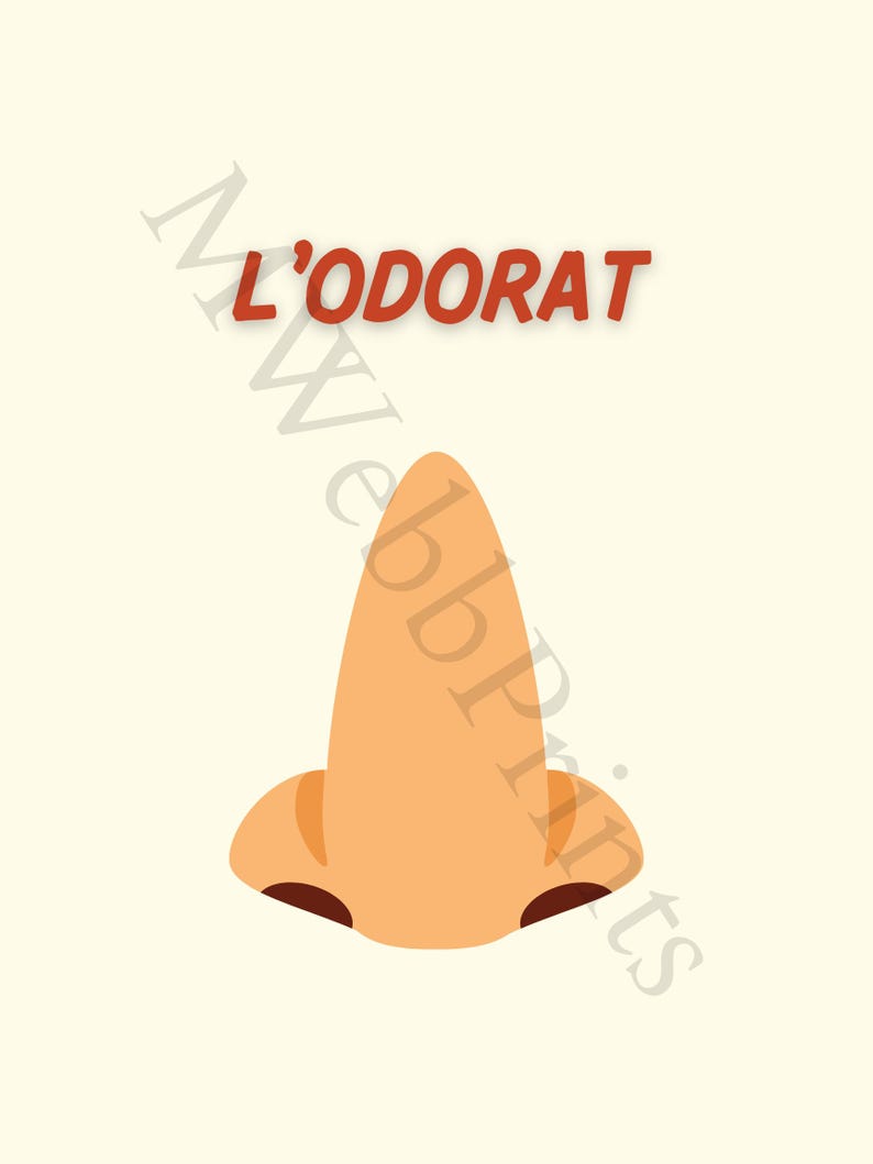 French Five Senses Printable Six Poster Bundle, Français Les Cinq Sens ...