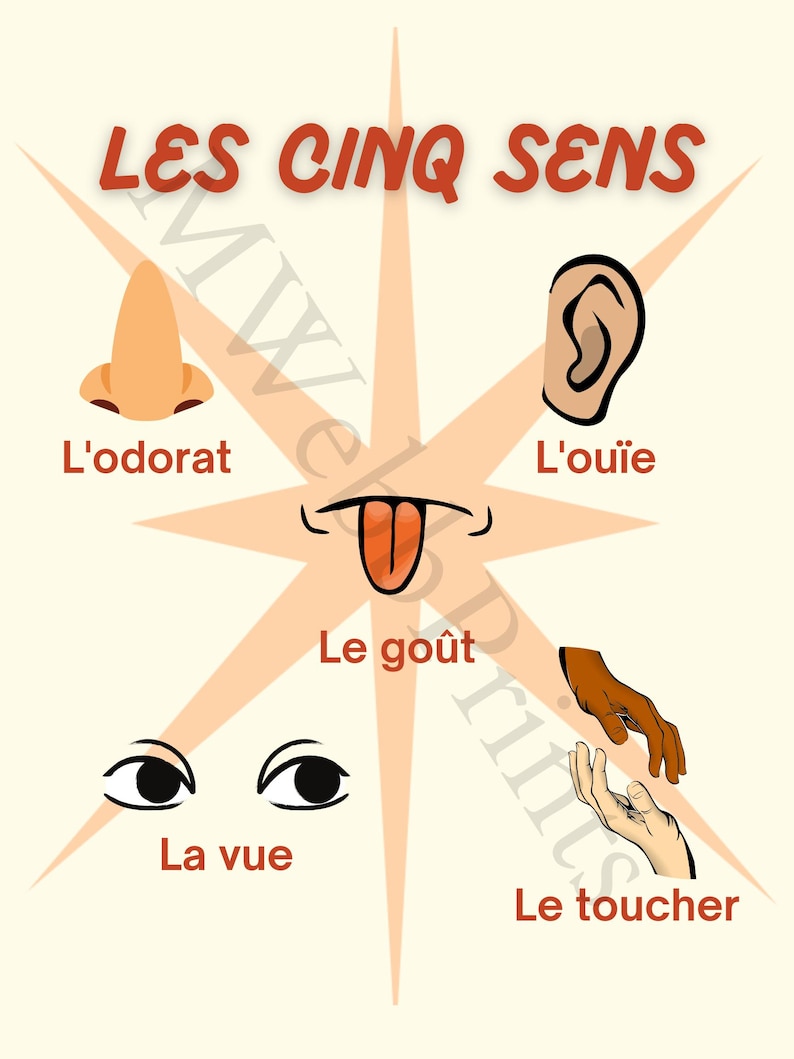 French Five Senses Printable Six Poster Bundle, Français Les Cinq Sens ...