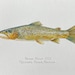 Custom Fish Painting, Fishing Trophy Painting, - Etsy