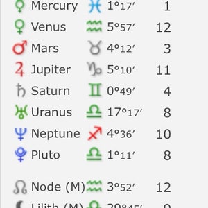 Composite & Synastry Astrological Birth Chart Reading - Etsy