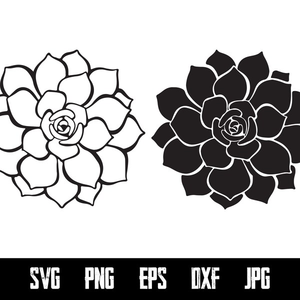 Succulent Svg - Etsy