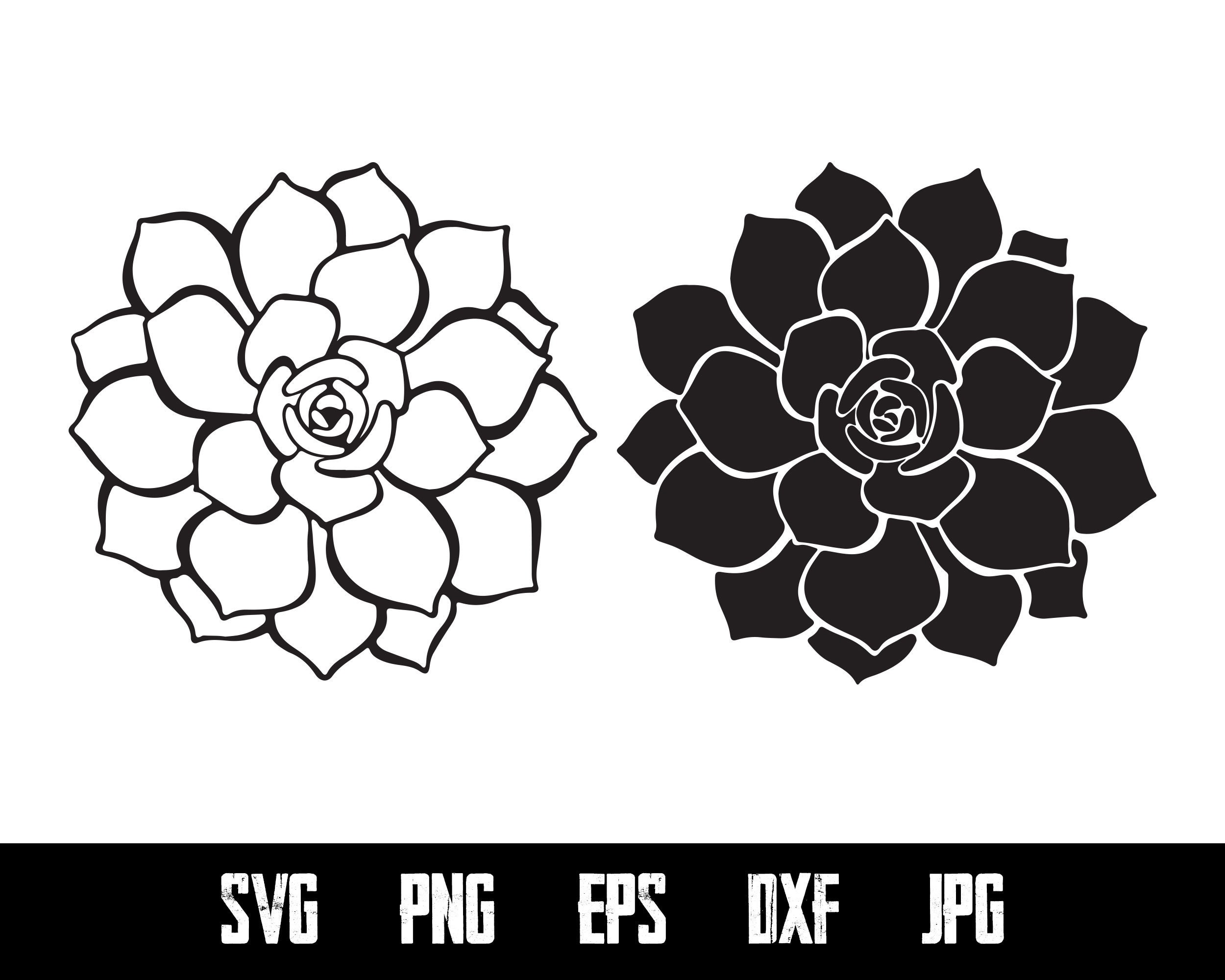Succulent Flower SVG Cut File Succulents Vector Floral Svg - Etsy