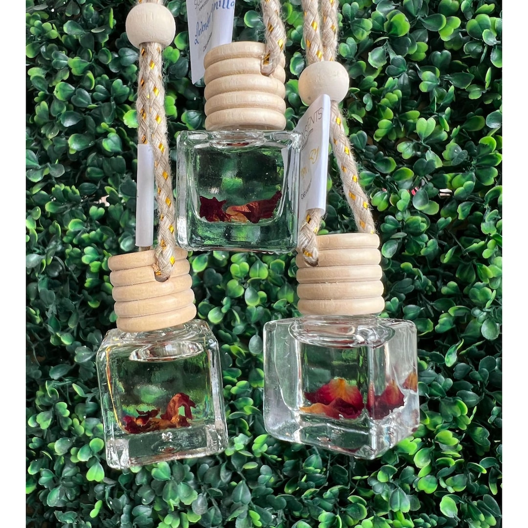 Car Diffuser | Car Fragrance | Car Hanging | New Driver | Car Freshies ...