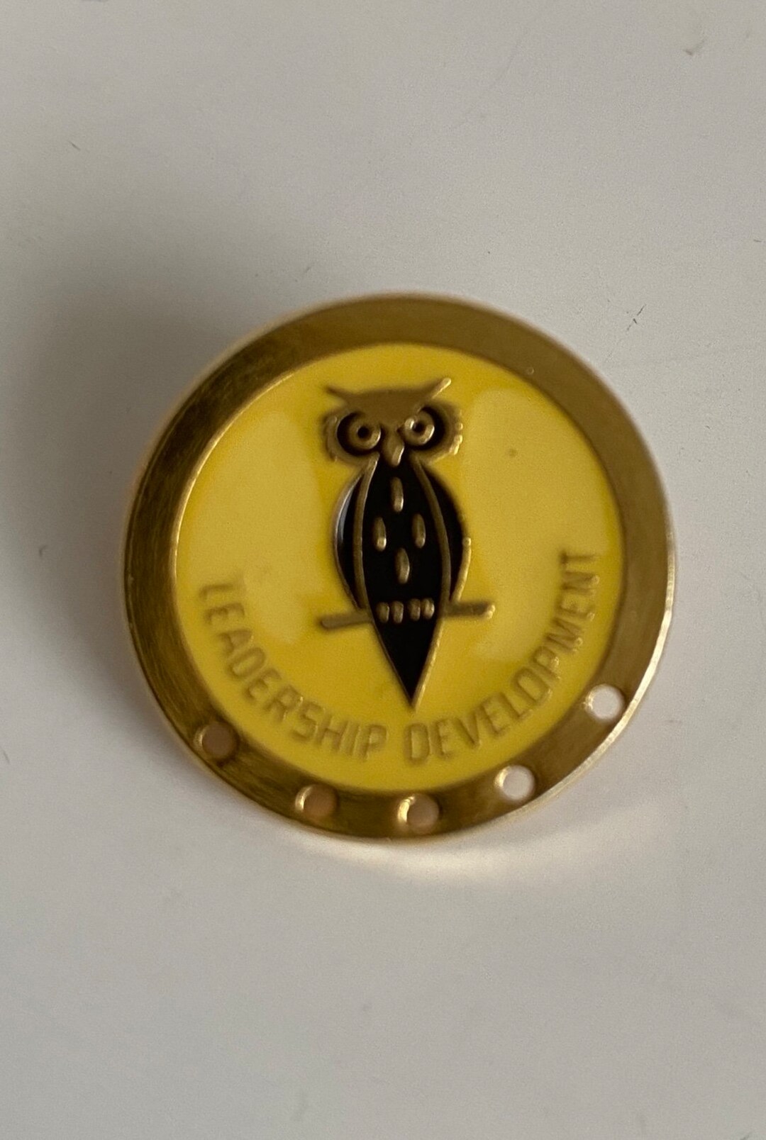 1970s Vintage Collectible Leadership Development Owl Colorful Metal Pin ...