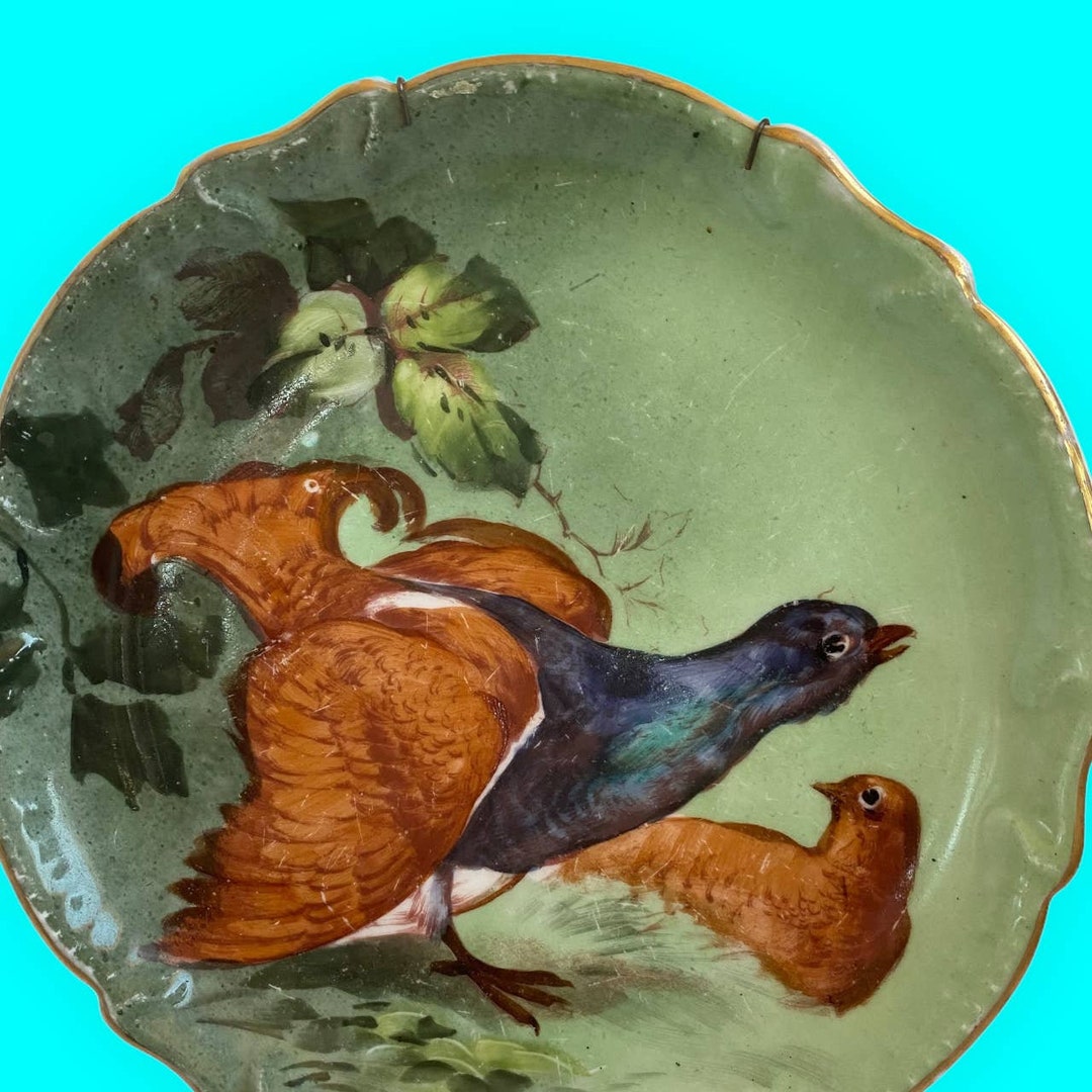 Antique Limoges Pheasant Plate or Plaque Signed LS&S Limoges France - Etsy