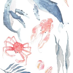 Seafood Graphics, Watercolor Clipart, PNG Files, 300 Dpi, Marine ...