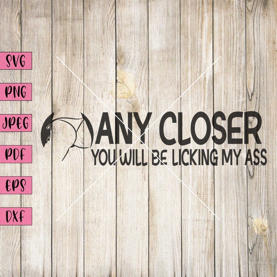 Any Closer... Inappropriate Stickers Car Decal Funny Funny | Etsy