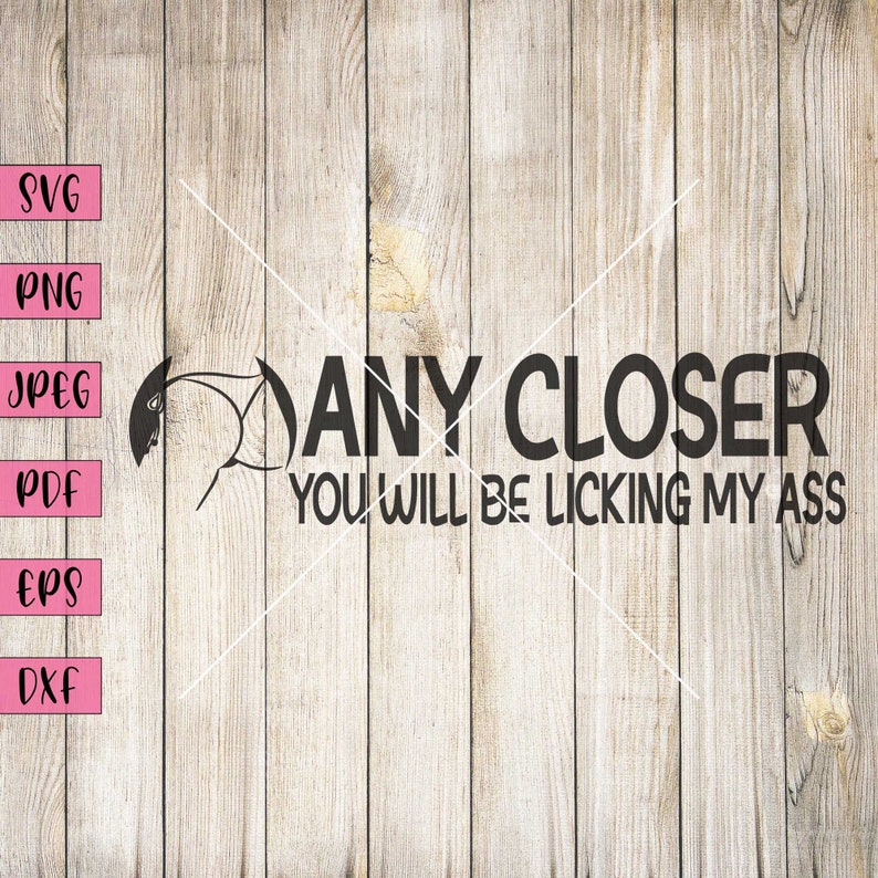 Any Closer... Inappropriate Stickers Car Decal Funny Funny - Etsy