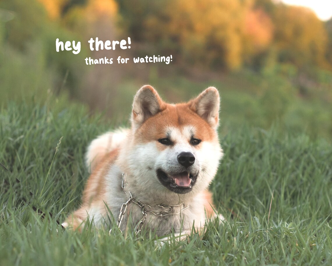 HANDWRITTEN VLOG TEXT for Youtube Videos - Handwritten Animated ...