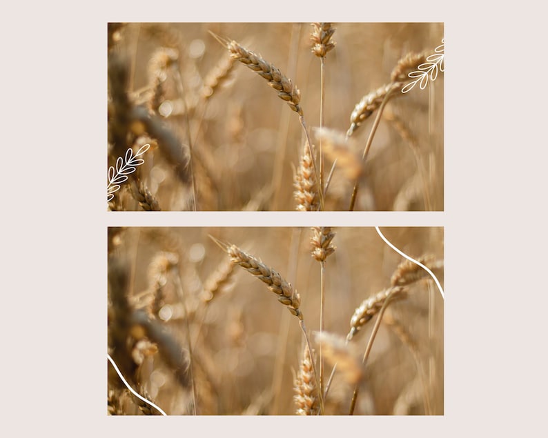 Minimal Animated Video Borders Animated Frames for Videos - Etsy