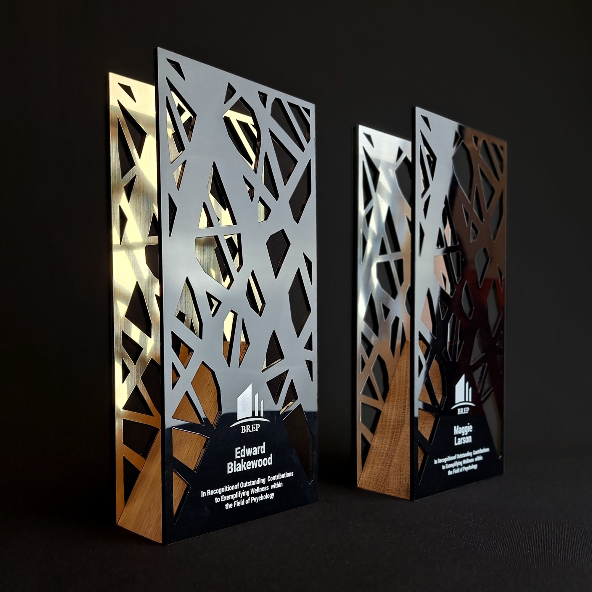 Handmade Oak & Acrylic Award Trophy, Modern Company Prize - Etsy