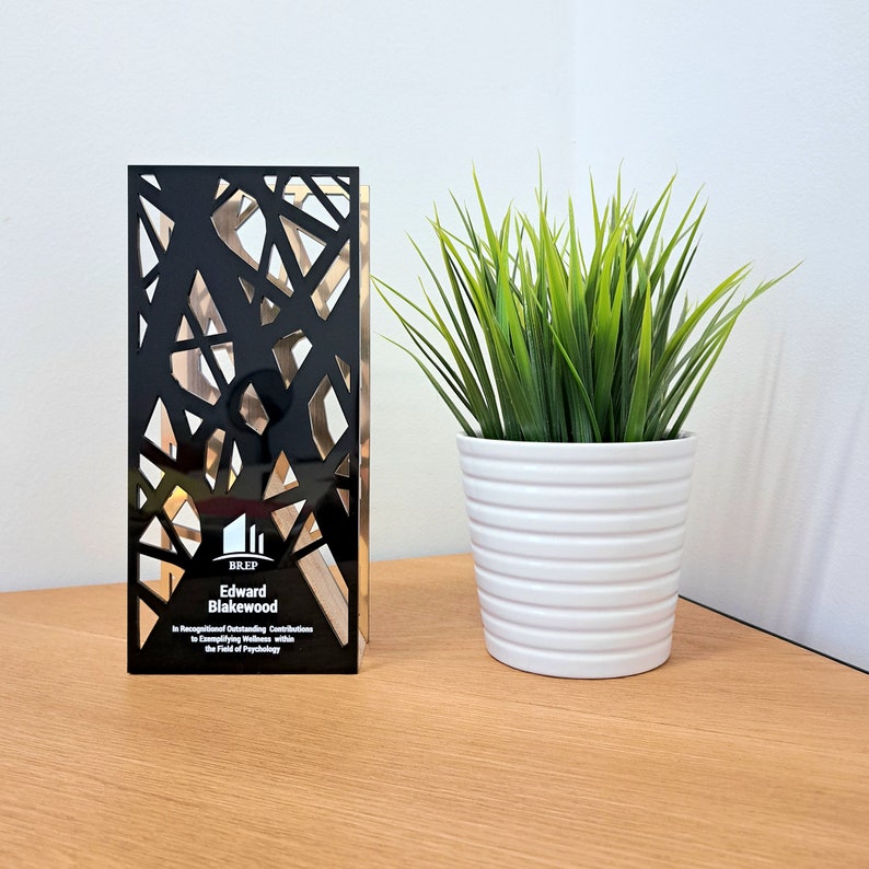 Modern and Unique Bespoke Trophy, Solid Oak and Acrylic Prize for ...