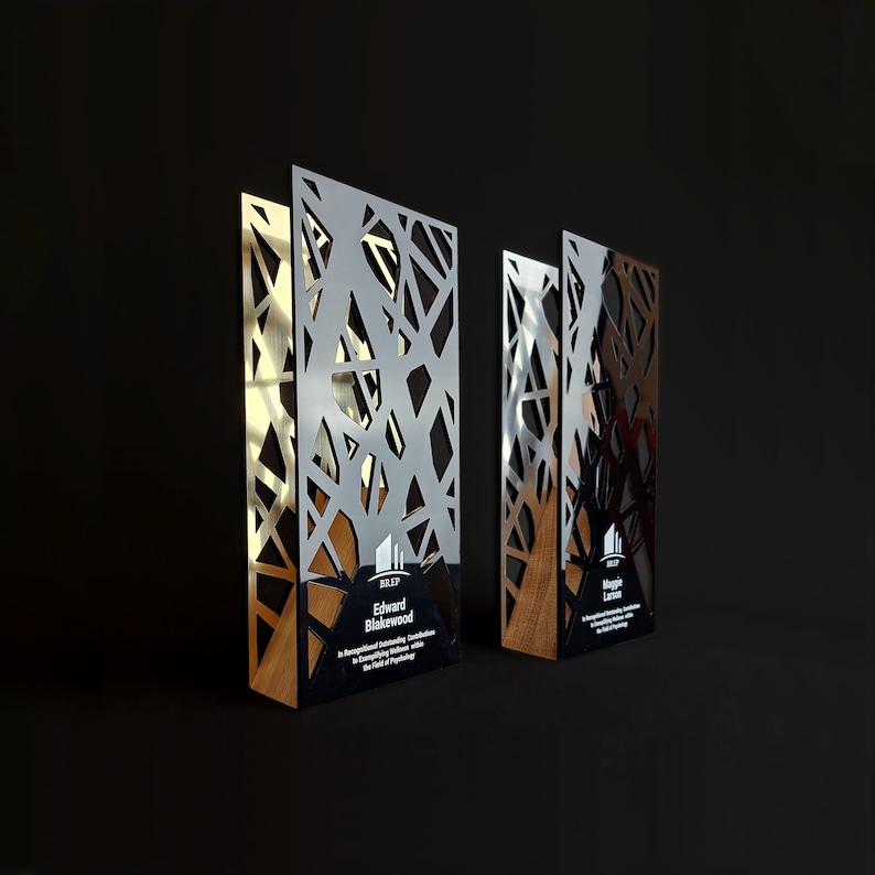 Modern and Unique Bespoke Trophy, Solid Oak and Acrylic Prize for ...