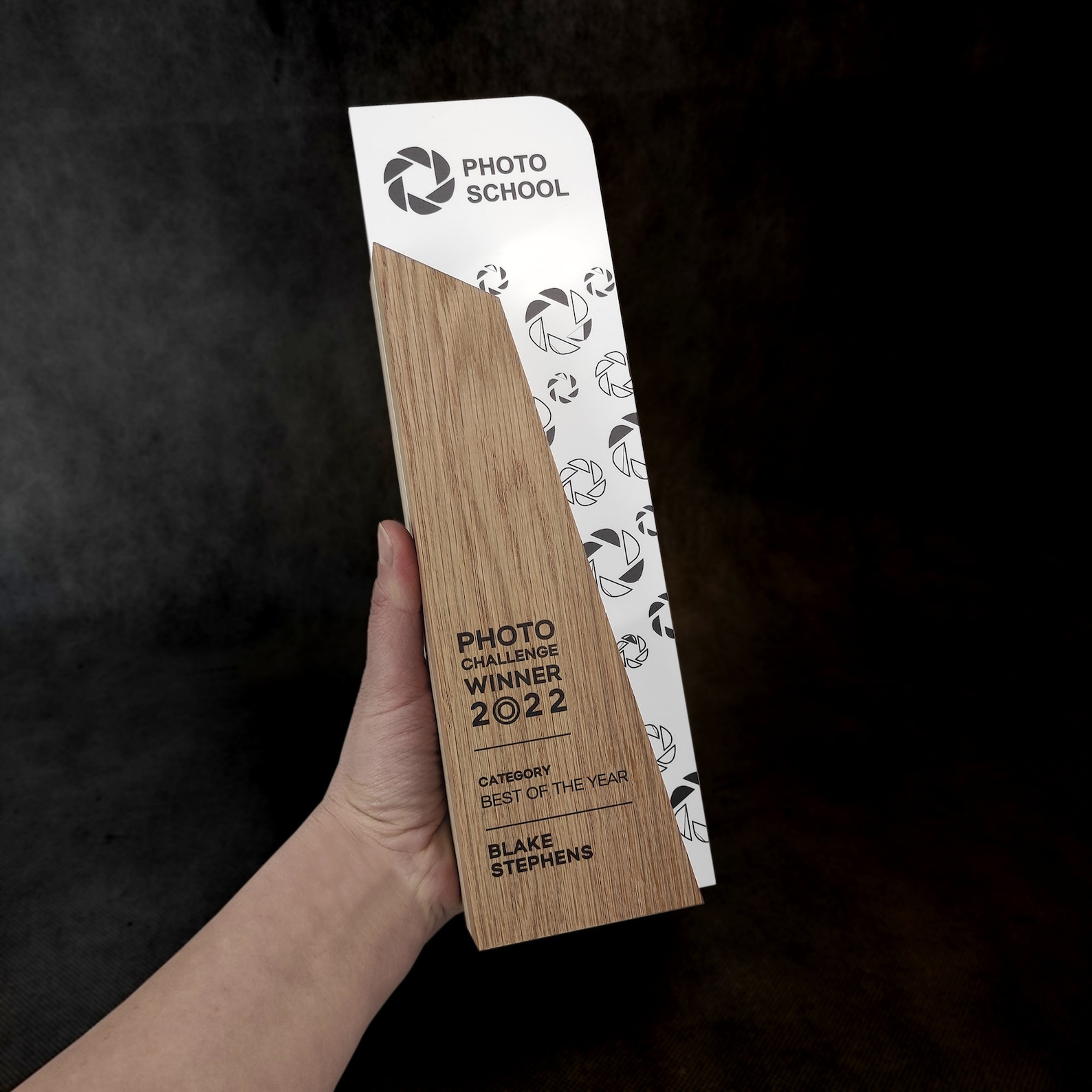 Modern Appretiation Award, Unique Wooden Trophy, Thank You Trophy, Gift ...