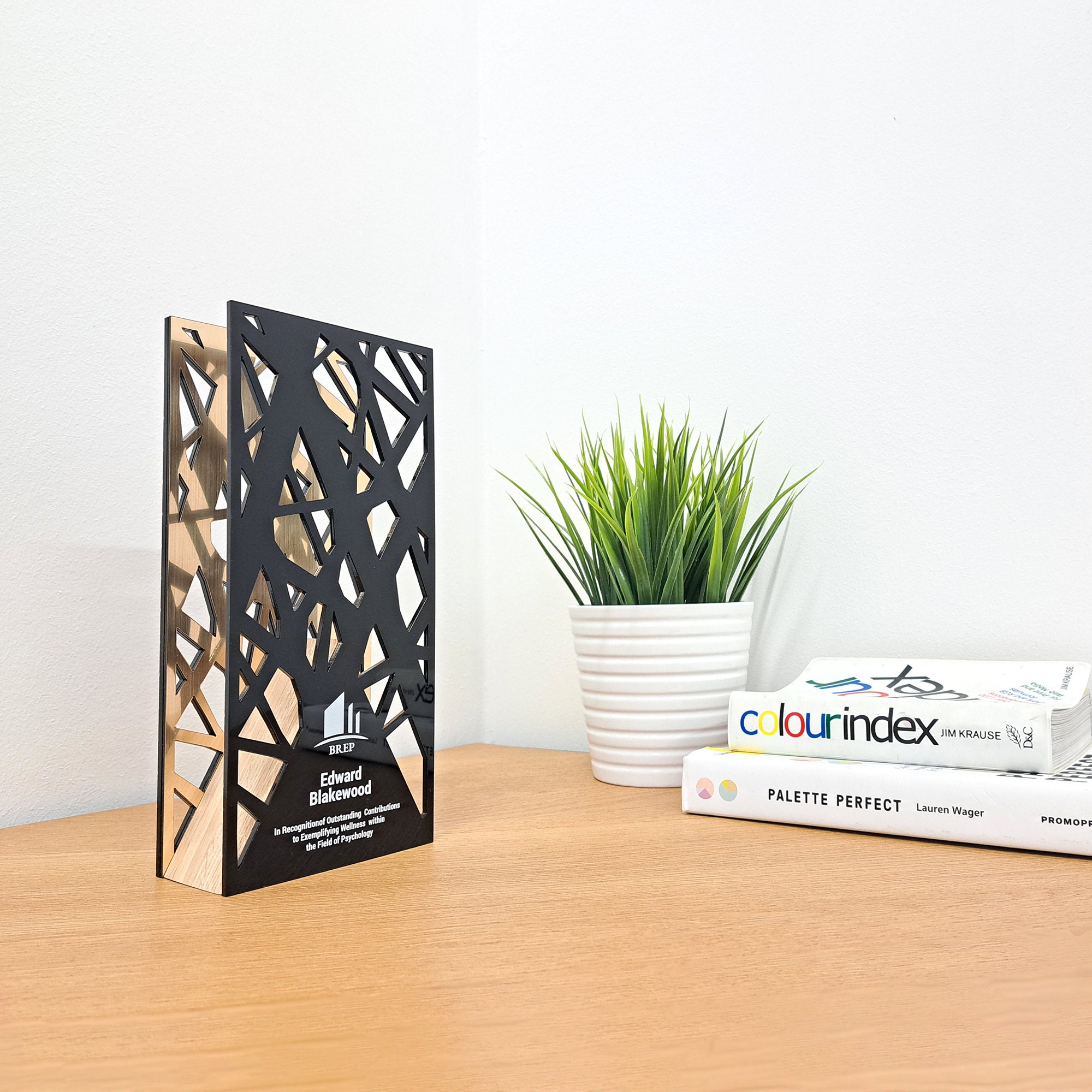 Modern and Unique Bespoke Trophy, Solid Oak and Acrylic Prize for ...