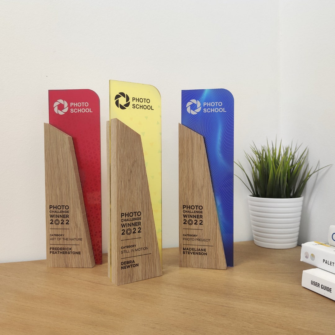 Unique Appretiation Award, Modern Wooden Trophy, Gift for Business ...