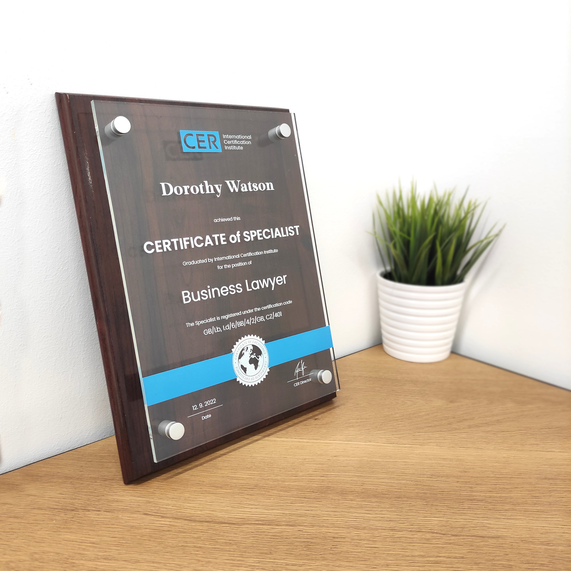 Personalized Wooden Award Plaque, Custom Acrylic Recognition Trophy - Etsy