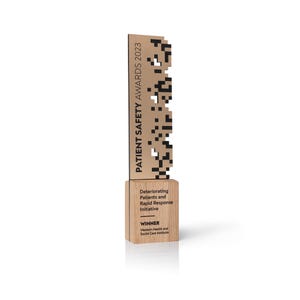 Personalized Oak & Flexibrass Award, Corporate Recognition Trophy - Etsy