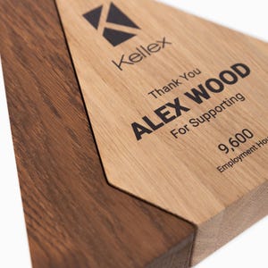 Elegant Triangular Shape Award, Eco-friendly Recognition Prize, Solid ...