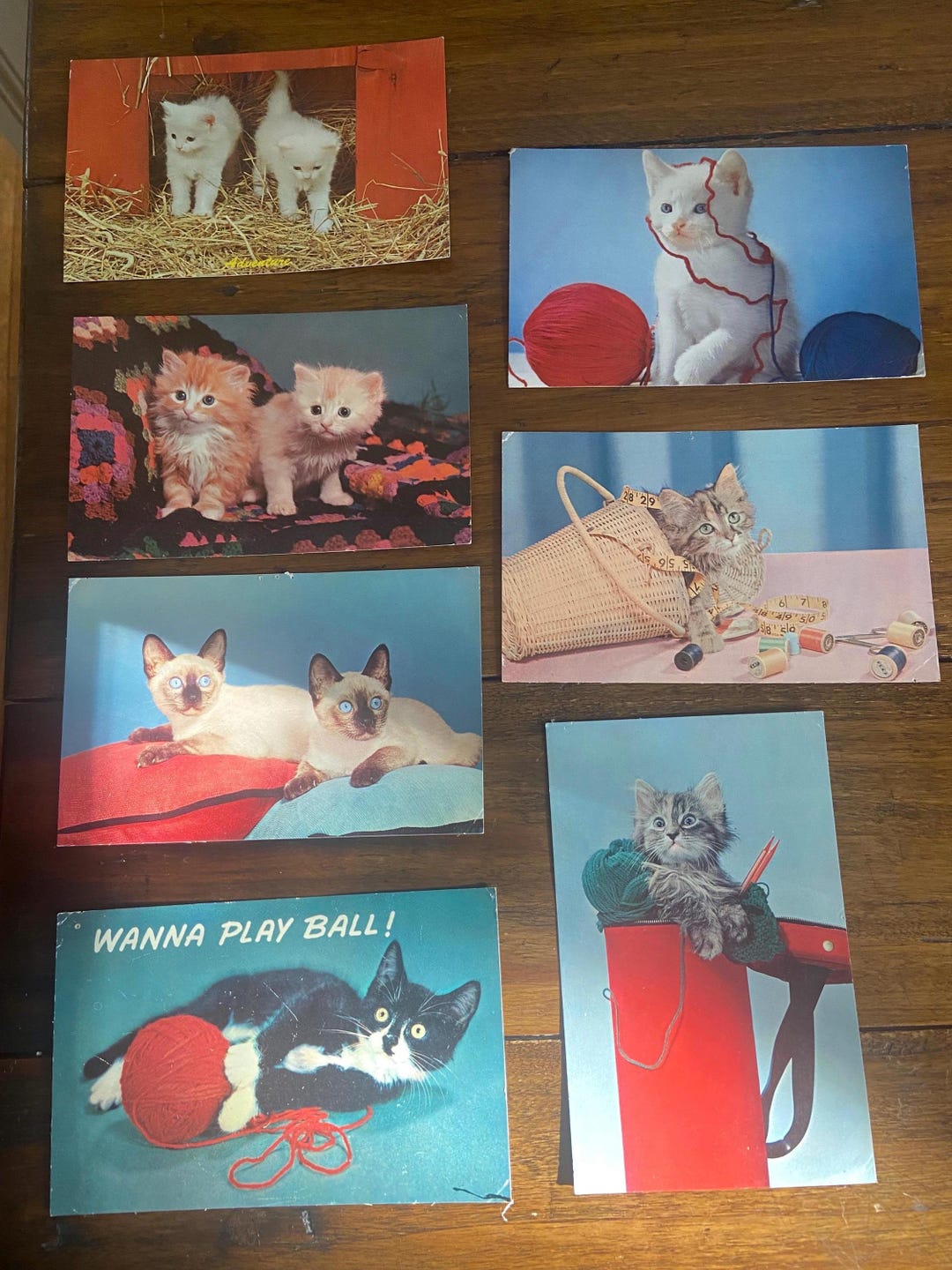 Cute Collection of 7 Kitty Cat Cards From the 1960s the Card With the ...