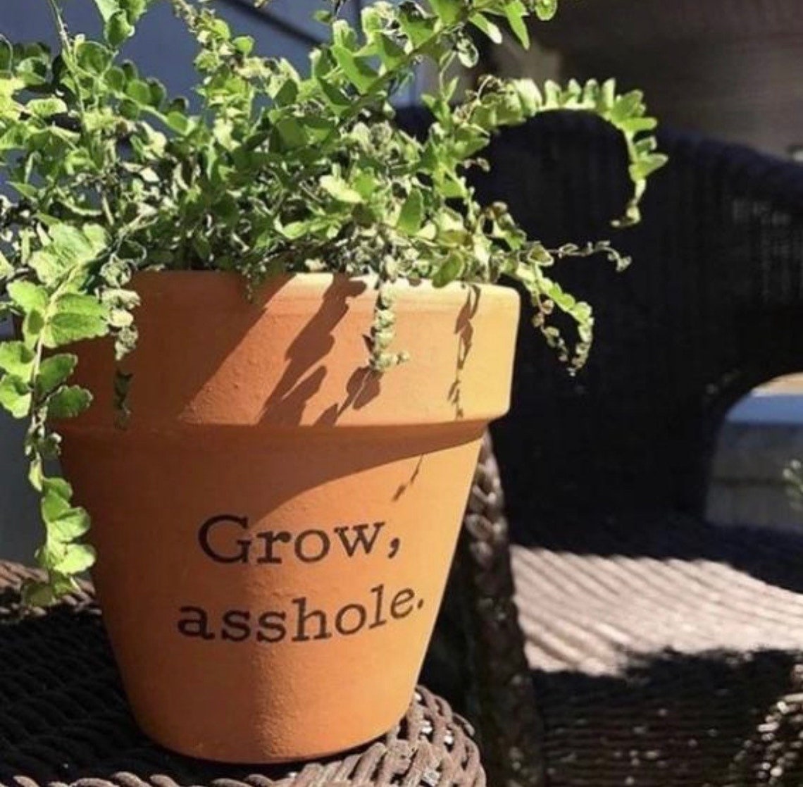 Grow Asshole Planter Flower Pot Funny Planter | Etsy