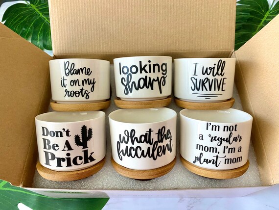 Succulent Planters Funny Planters Flower Pots Plant Puns | Etsy