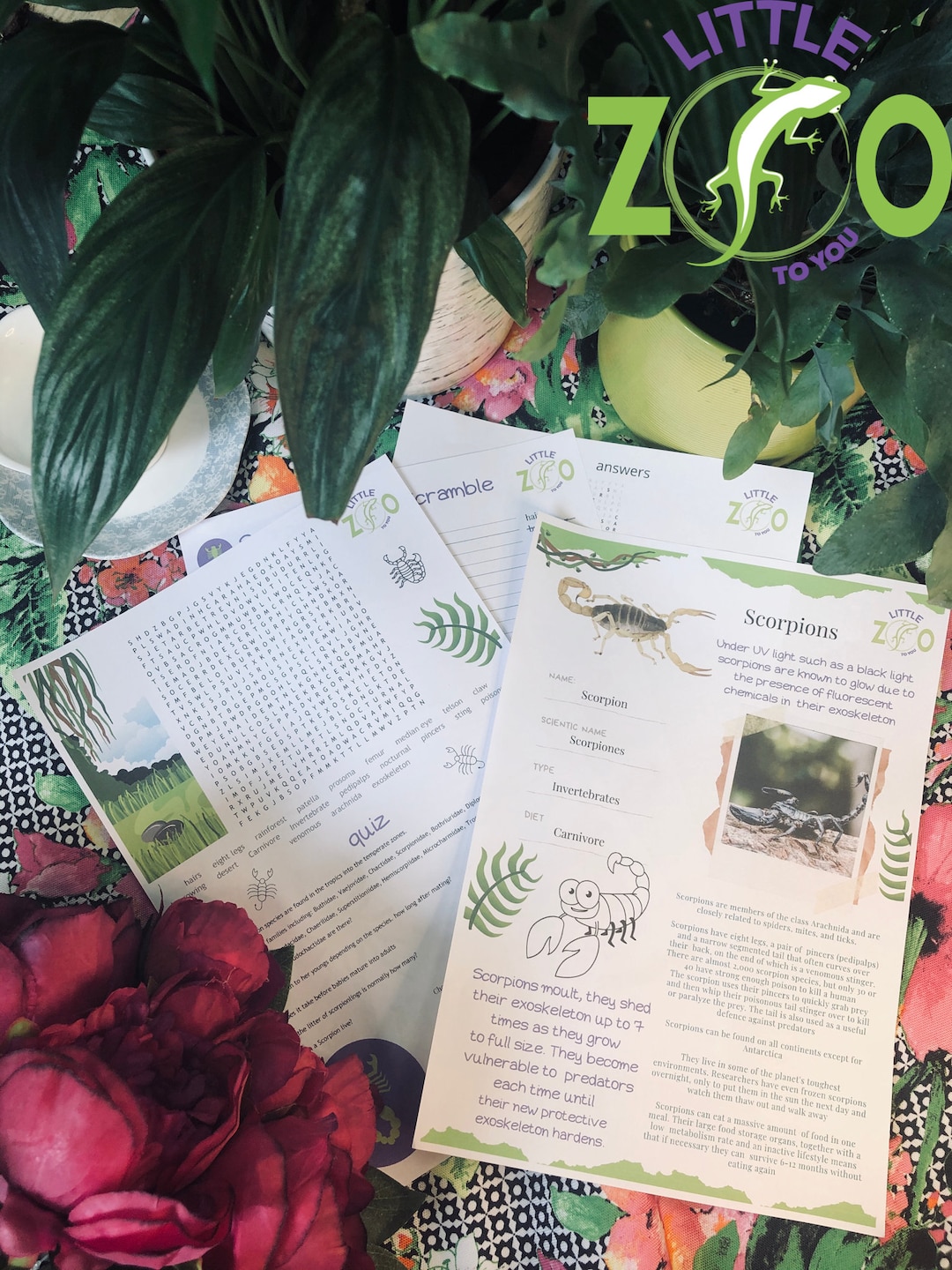 Scorpion Activity Worksheets including Accompanying Video - Etsy