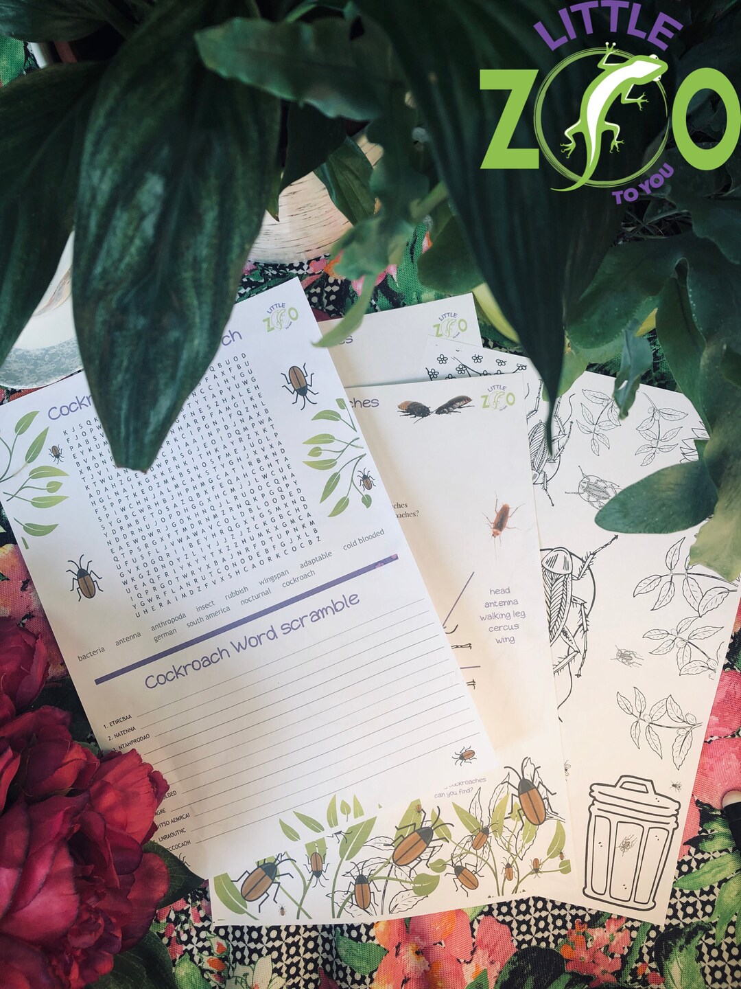 Cockroach Activity Worksheets including Accompanying Video - Etsy