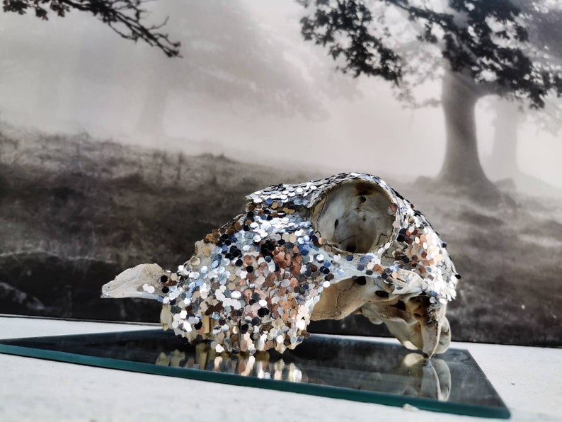 Mongolian Goat Skull: greed - Etsy