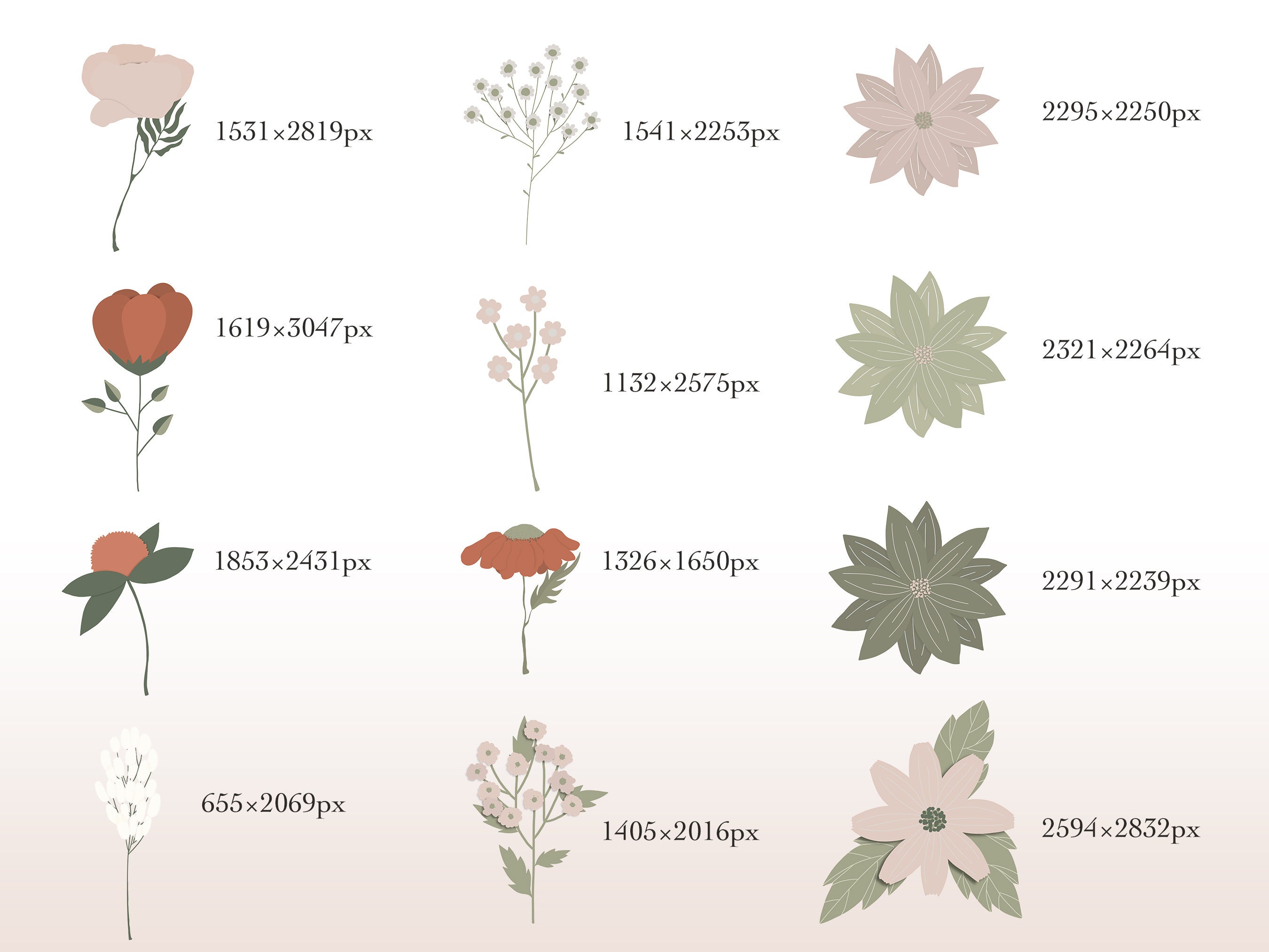 Pastel Flowers Digital Clipart Set - PNG - Transparent Background ...