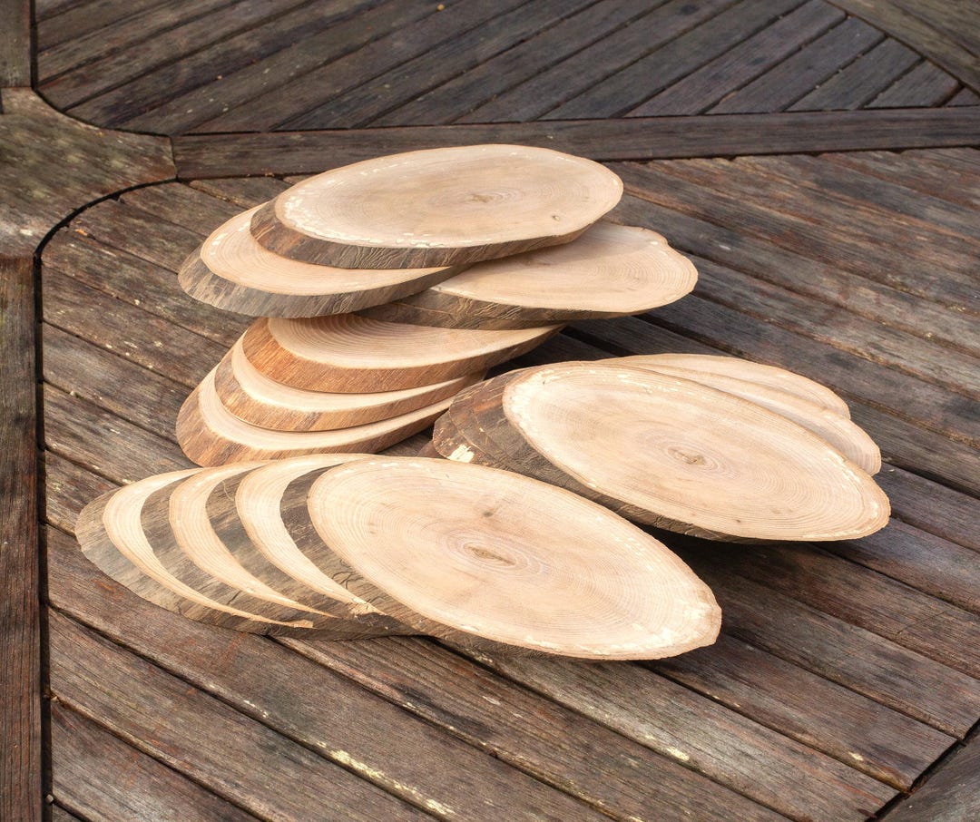 Large Oval Wood Slices - Plinths - Bases - Craft - Coasters - Painting ...